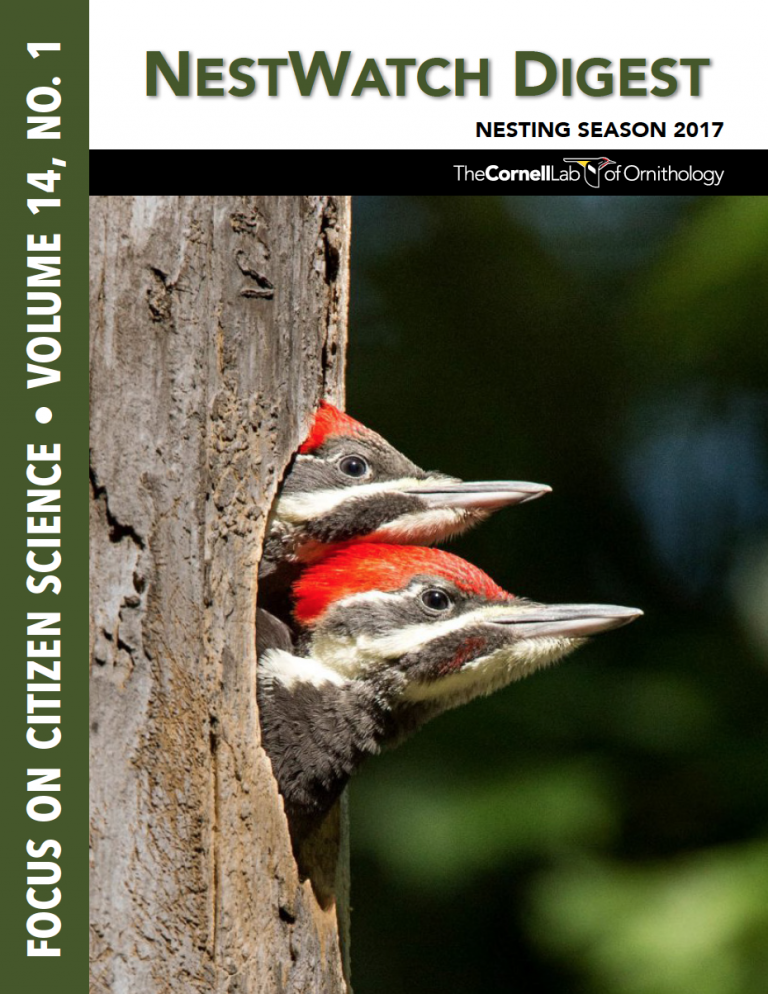 Annual Reports - NestWatch