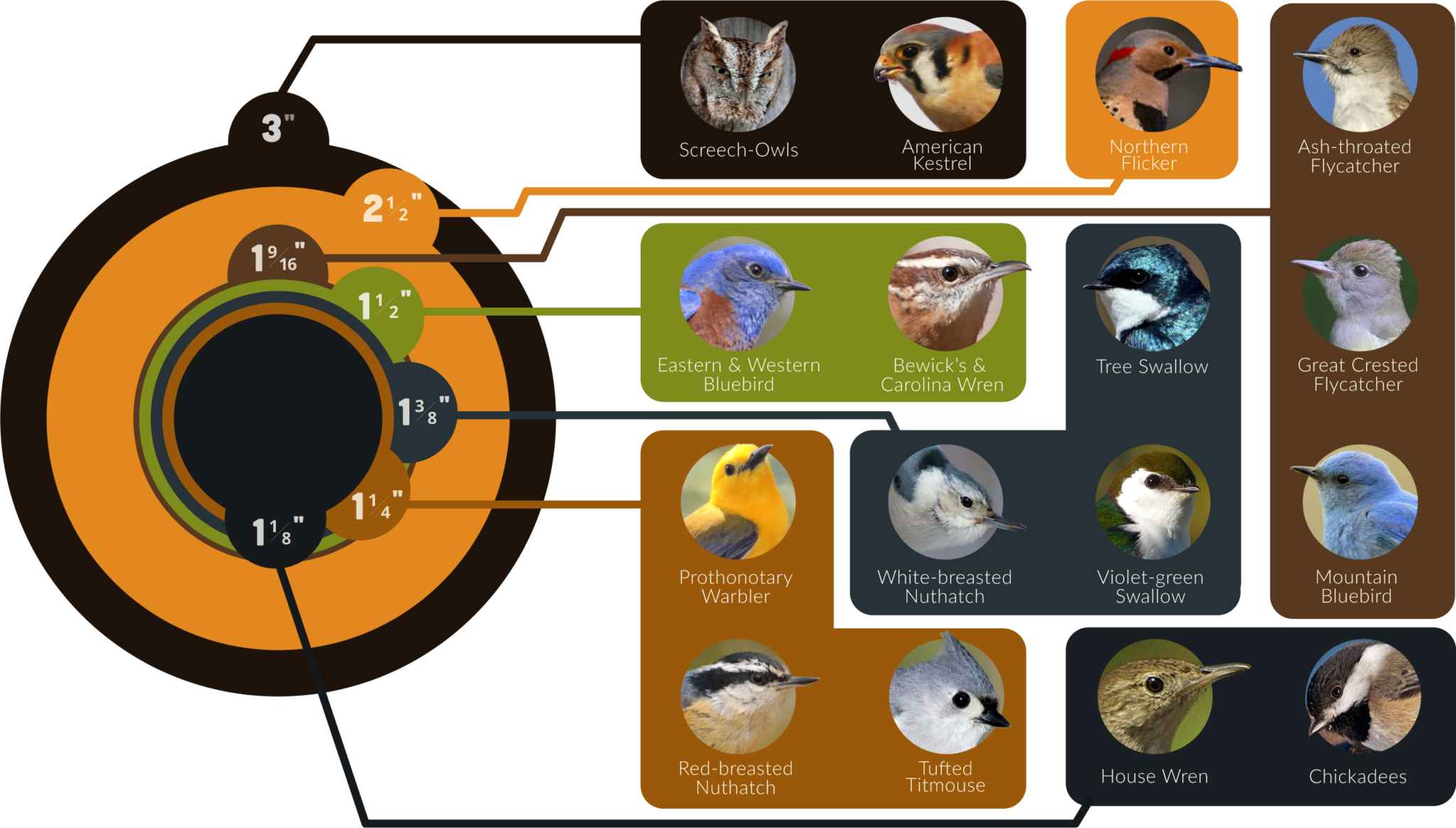 Features of a Good Birdhouse - NestWatch