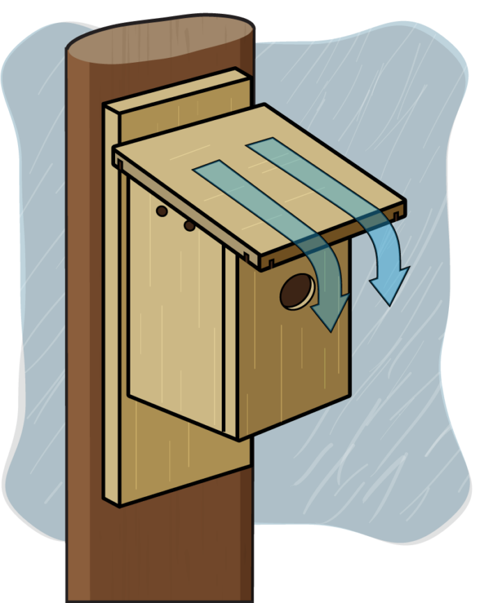 Features of a Good Birdhouse - NestWatch