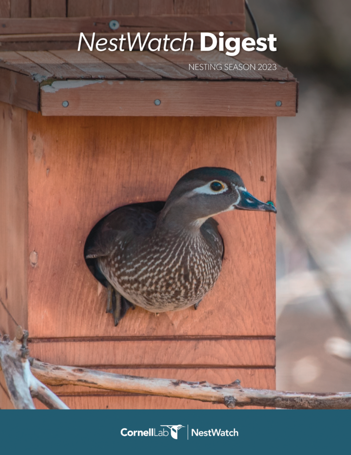 Publications - NestWatch