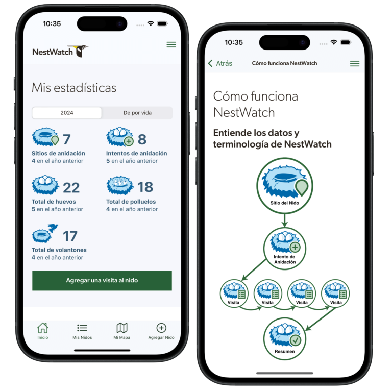 Homepage - Español - NestWatch